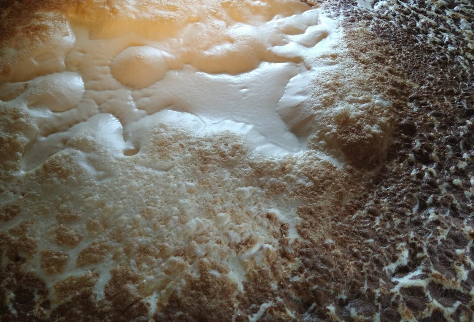 Cheers for great beers from Brauerei Meierei - WELTEXPRESS